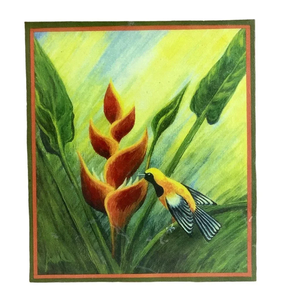 Art | Jamaica Oriole Wild Banana Flower Birds Patch Paper Mache Framed ...